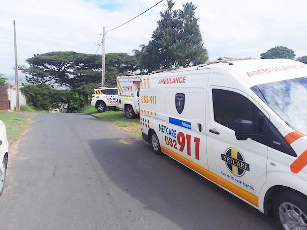 Four left critical after being bitten by a swarm of bees | Rising Sun ...