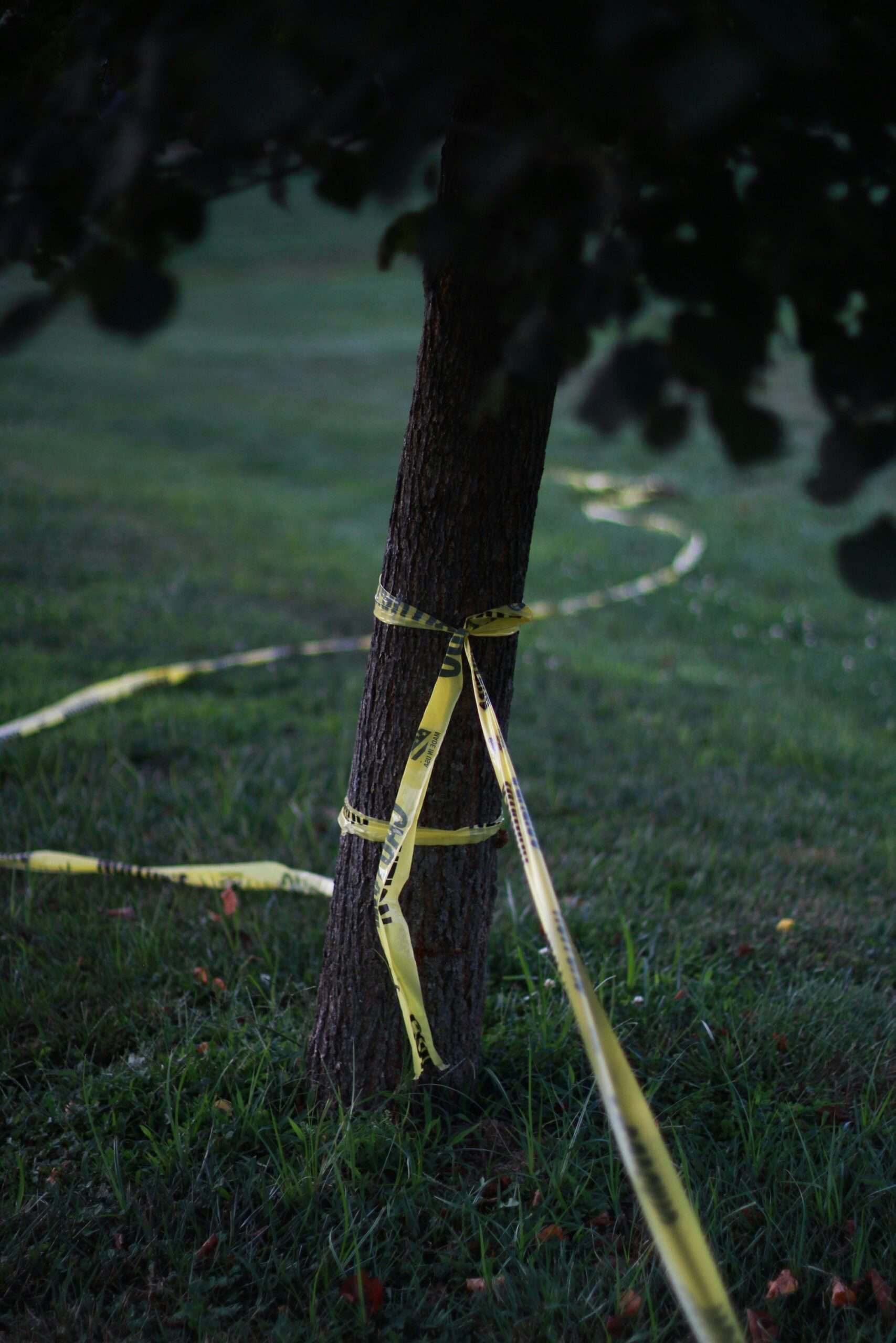 Elderly man found dead at Wentworth sports field | Rising Sun Newspapers